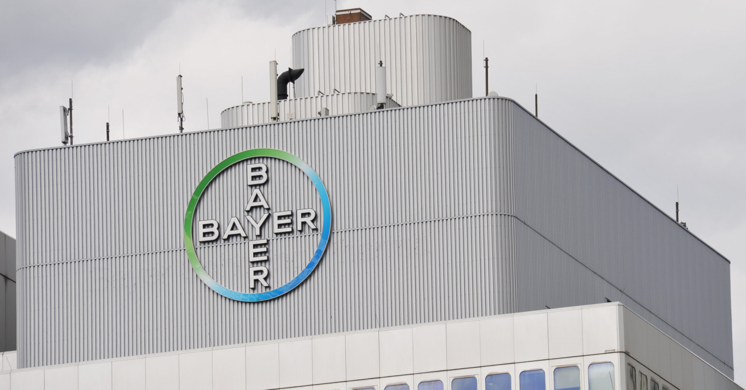 Kurssturz bei Bayer: Das steckt dahinter - FINANCE